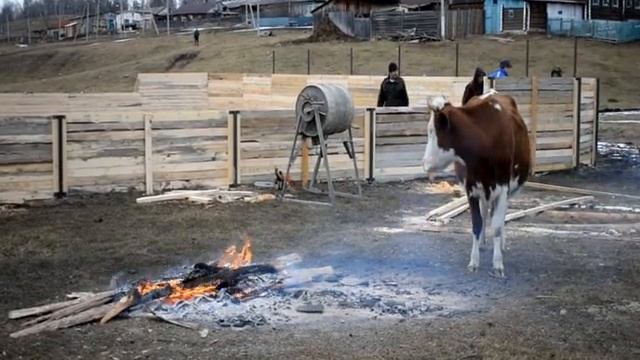 Нет чтоб у костра греться  они всё работают и работают