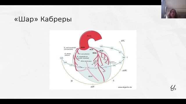 Терапия | Кардиология. Заболевания сердца. Инфаркт миокарда с подъемом сегмента ST