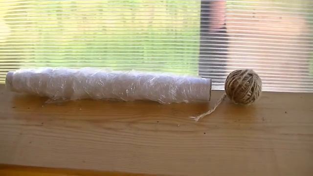 Чай из баламута  впервые