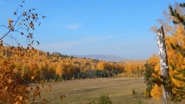 Золотая осень