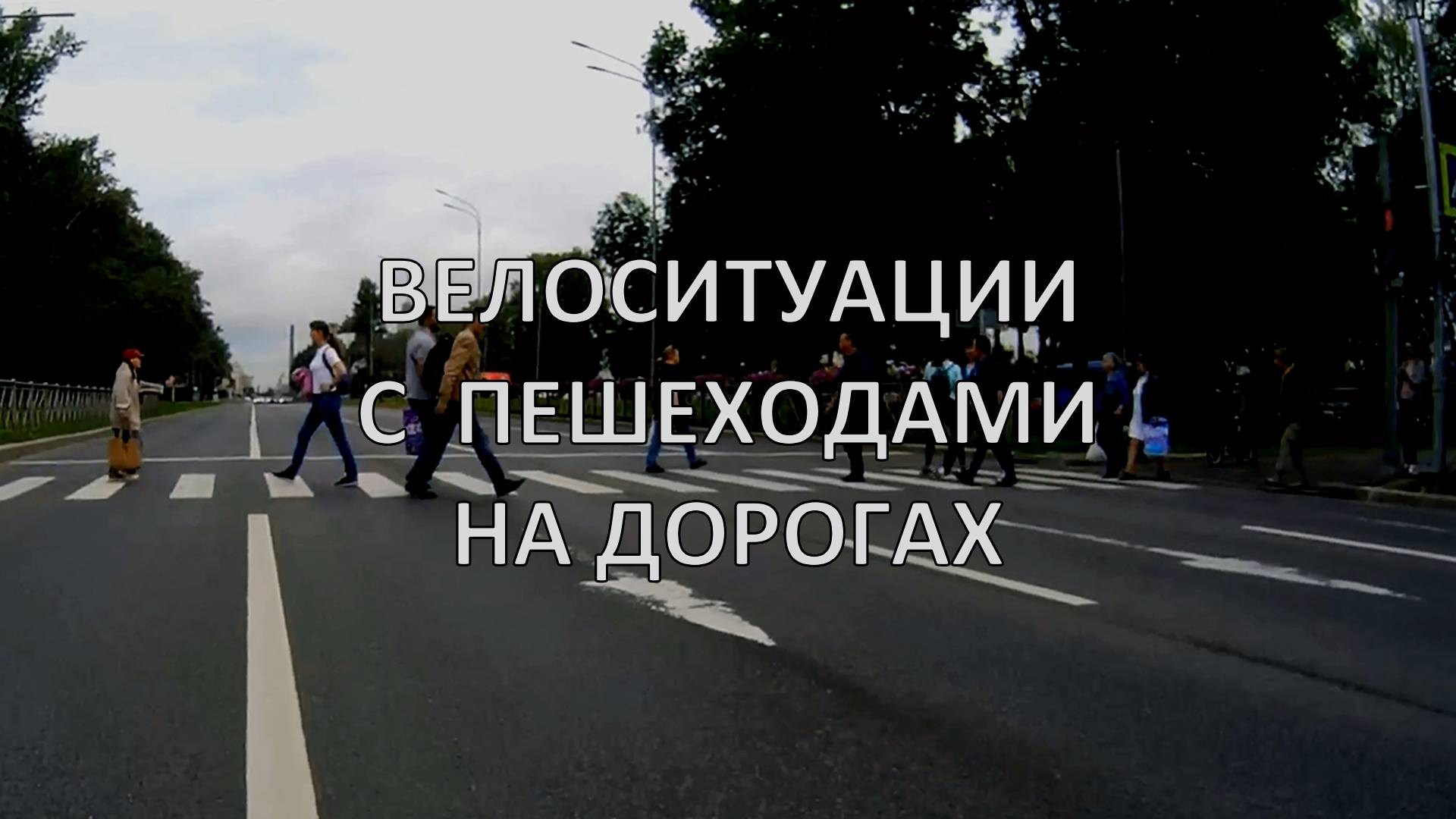 Велоситуации с пешеходами на дорогах, 2024 год