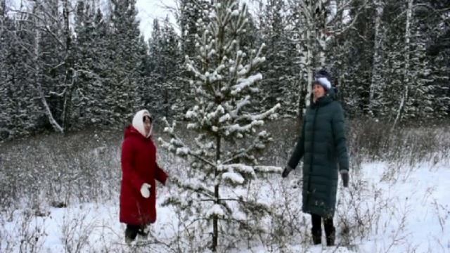 С Новым годом  - в лесу