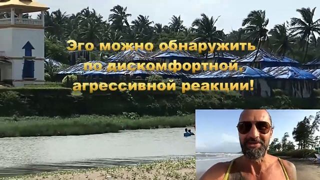 Мысли РУЛЯТ при ХОДЬБЕ на работу свидание, на прогулке..ЧТОБЫ не болеть и не грустить