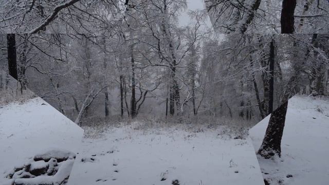 Зимняя прогулка на гору