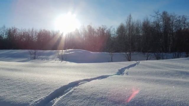 Прогулка к незамерзающему ручейку