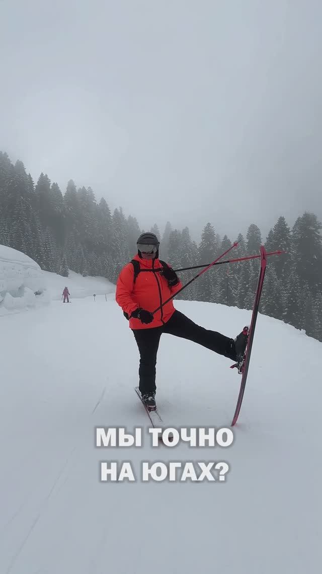 Boxer MC Zverev Den - Сочи
