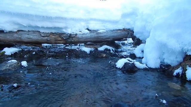 Ежегодная прогулка к незамерзающему ручью.