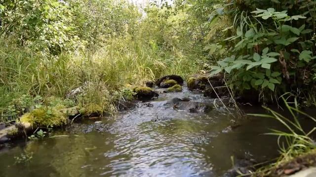 Через ручей в кроссовках туда сюда с камерой