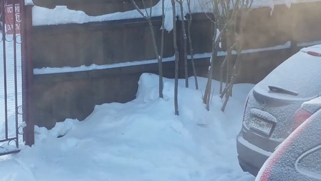 На морозе снег искрится...