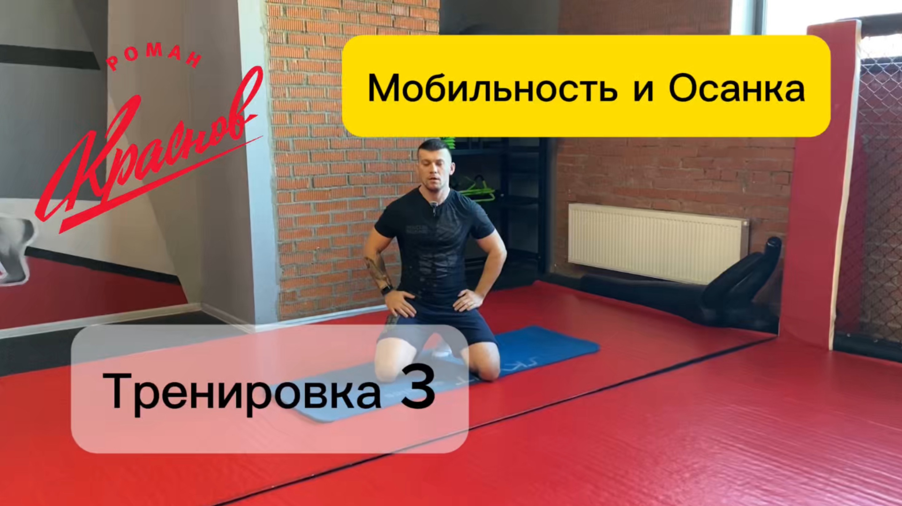 Мобильность и Осанка. Тренировка 3.