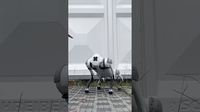 Stromae и его собака-робот_14.07_2022