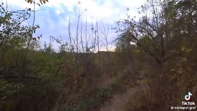 8111a8313110ef3520da385d291feac9.mp4