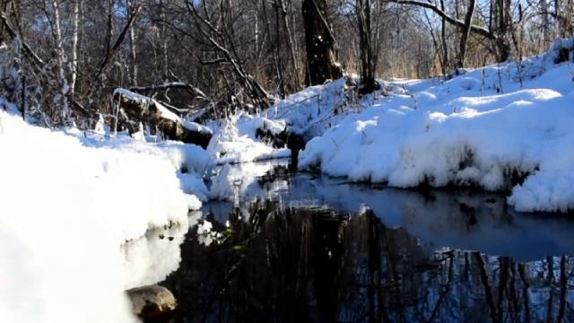 Прогулка к не замерзающему ручью