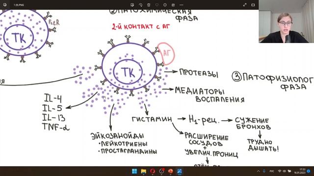 Иммунология | Гиперчувствительность 1 (первого) типа. Диагностика, лечение
