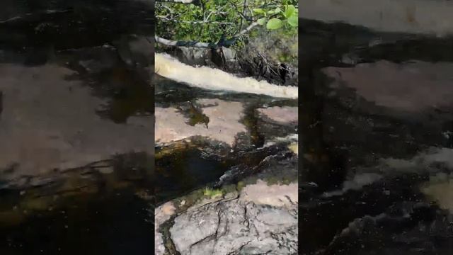 Верхний Койриноя