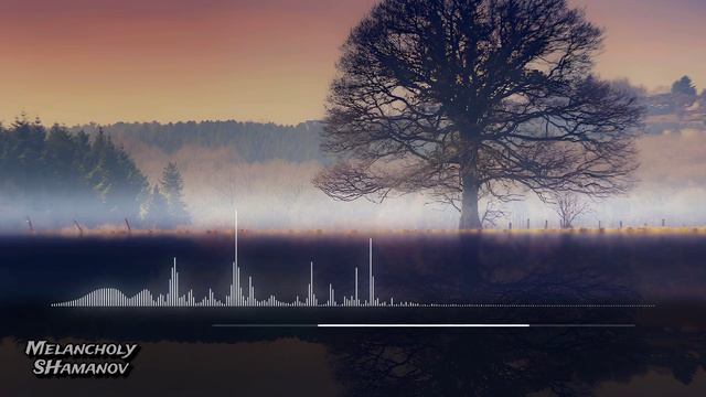 07. Сергей Шаманов - Меланхолия (Альбом "Прибытие")