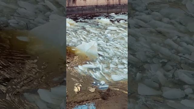 Ледоход на Мойке