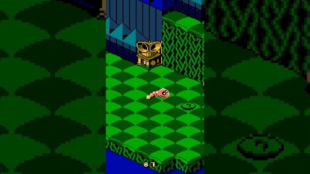 Snake Rattle n Roll (DENDY) #retro #games #dendy #retrogaming