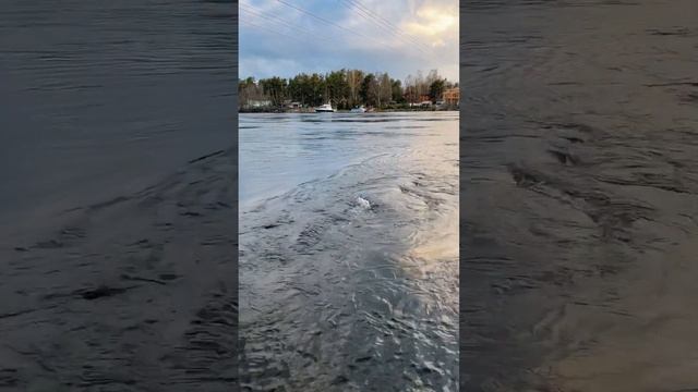 Мой маленький северный рай