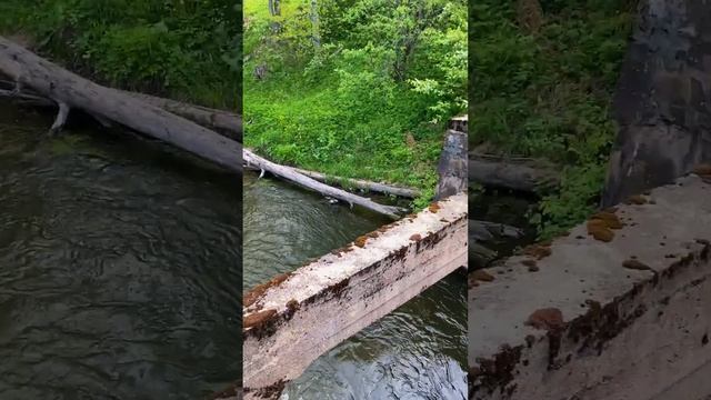 Сюрьякоски