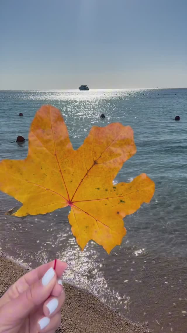 Мечты сбываются