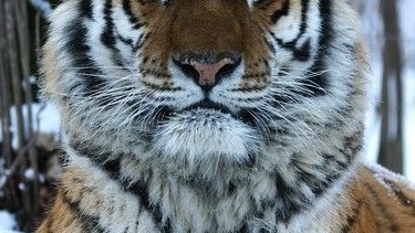 18-11-20242024тест тесттвлвлв тест тест тест стнго трпн тест тест тест