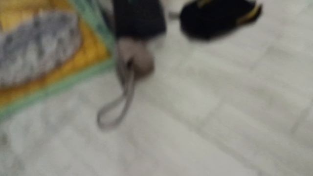 продолжение видео халикоптер Горрила