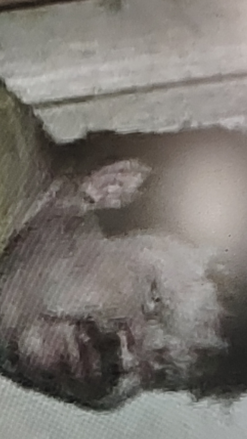 лего мультик бомба