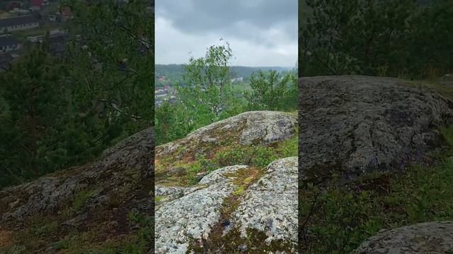 Линнавуори