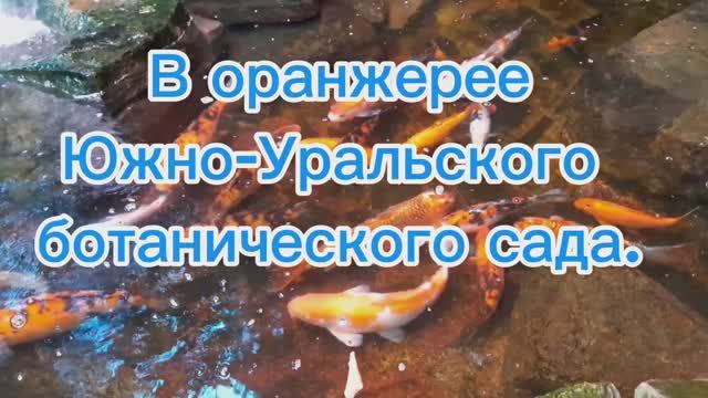 Уфа_оранжерея_ботанического_сада.mp4