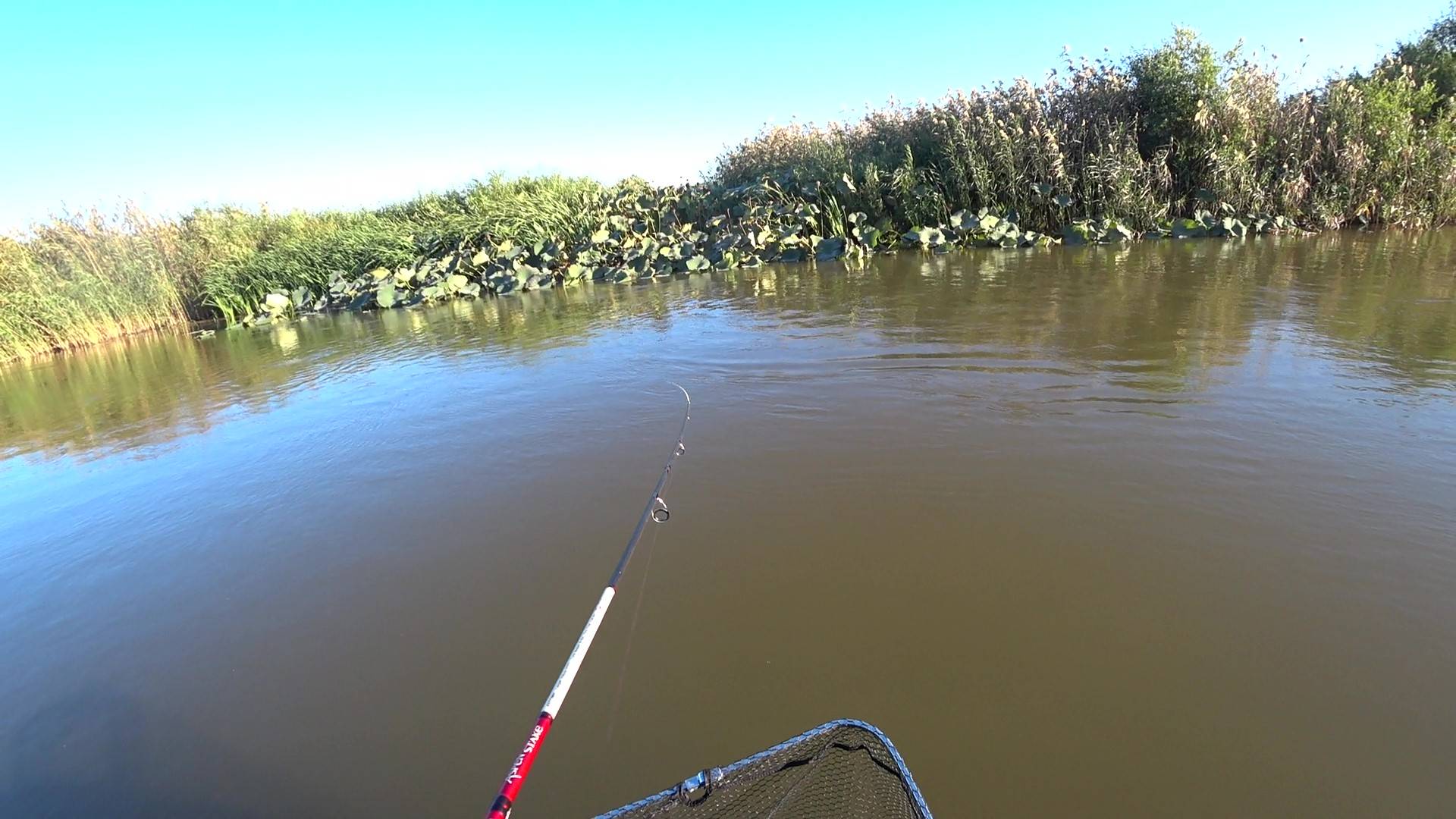 Поставил эту приманку и клюнул он. Рыбалка в Астрахани ловля на спиннинг осенью.