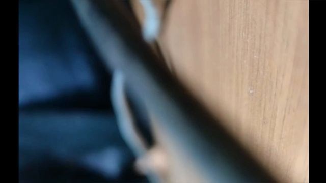 В Туве нетрезвый водитель пытался дать взятку сотрудникам
