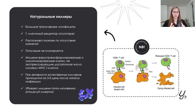 Иммунология | Воспаление 1 (первого) типа. Иммунный ответ