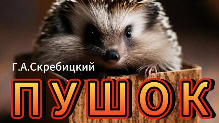 ПУШОК / АУДИОКНИГА ДЛЯ ДЕТЕЙ / короткие рассказы для детей