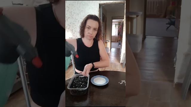 Смотри в описании основные правила посева эустомы