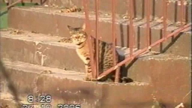 2006 Октябрь Мама я