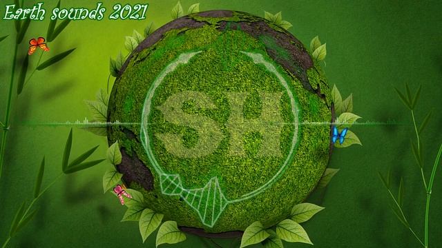 08. Сергей Шаманов - Звуки земли (Альбом"Прибытие")