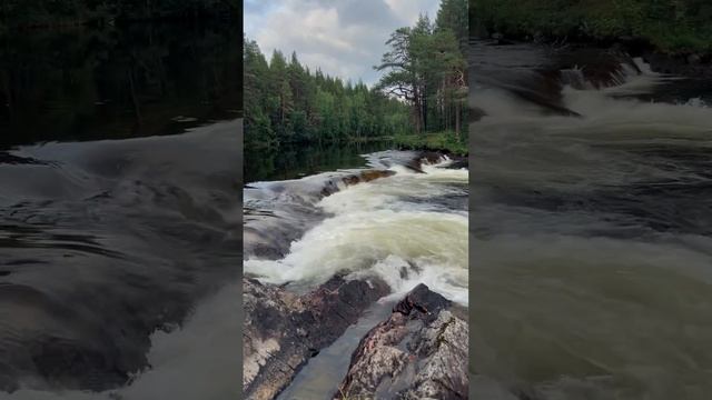 Север-2023. Кольский п-ов, р. Колвица, Белый Падун