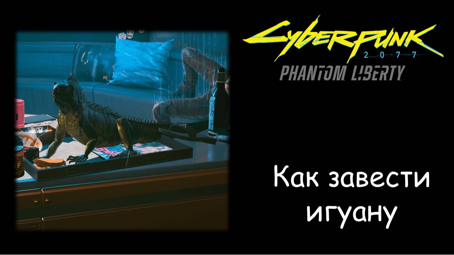 Гайд. Как завести Игуану в Cyberpunk2077. Где найти яйцо?