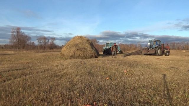 Как грузим сено на волокушу. Это архивное видео.