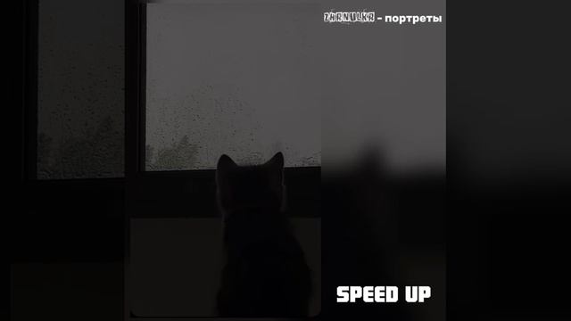 2024.05.07 zhanulka - портреты ☕speed up☆ (720p)