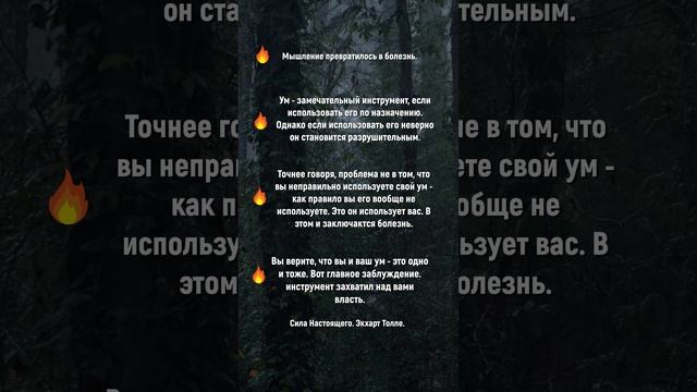 Цитаты | Сила Настоящего | Экхарт Толле. #мудрость #книги #философия #цитаты #момент #ЭкхартТолле