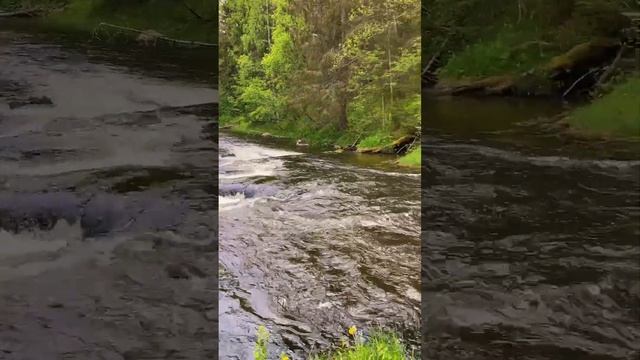 Тойканкоски