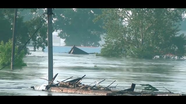 Новости КГиМС. Лето 2019