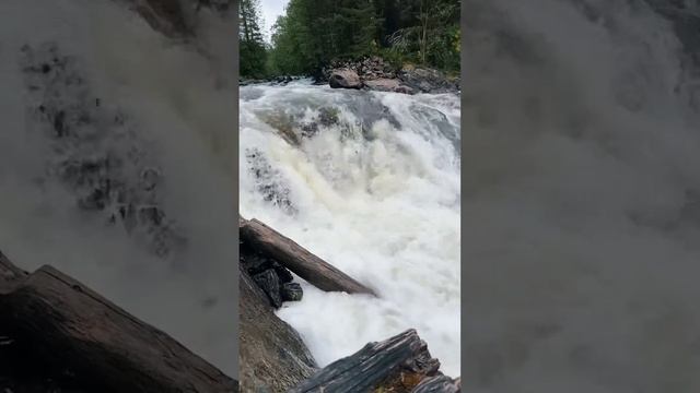 Север-2023. Кольский п-ов, р. Колвица, Черный Падун