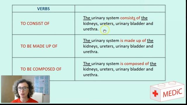МОЧЕВЫДЕЛИТЕЛЬНАЯ СИСТЕМА.  ОРГАНЫ. Медицинский Английский с Татьяной Глушковой