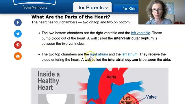 СЕРДЦЕ 2. Медицинский английский с Татьяной Глушковой (пример урока)