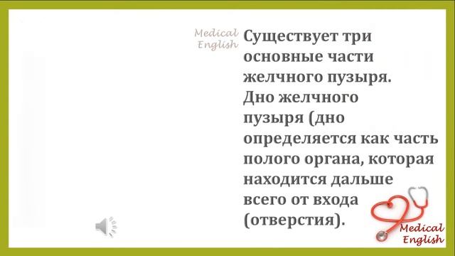 Изучаем Желчный Пузырь на Английском | Gallbladder #4. Медицинский Английский с Татьяной Глушковой