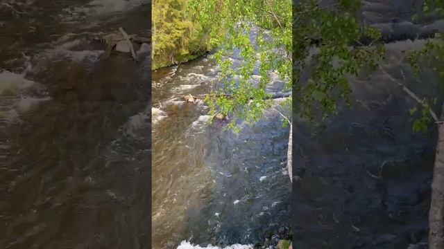 Сюрьякоски