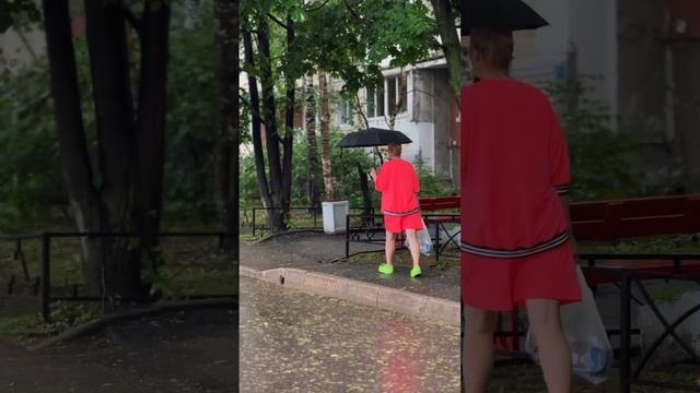 Первый летний дождь